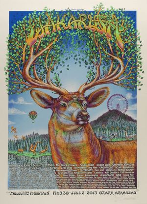2013-Mulberry Mountain-WAKARUSA-Widespread Panic Value - GoCollect