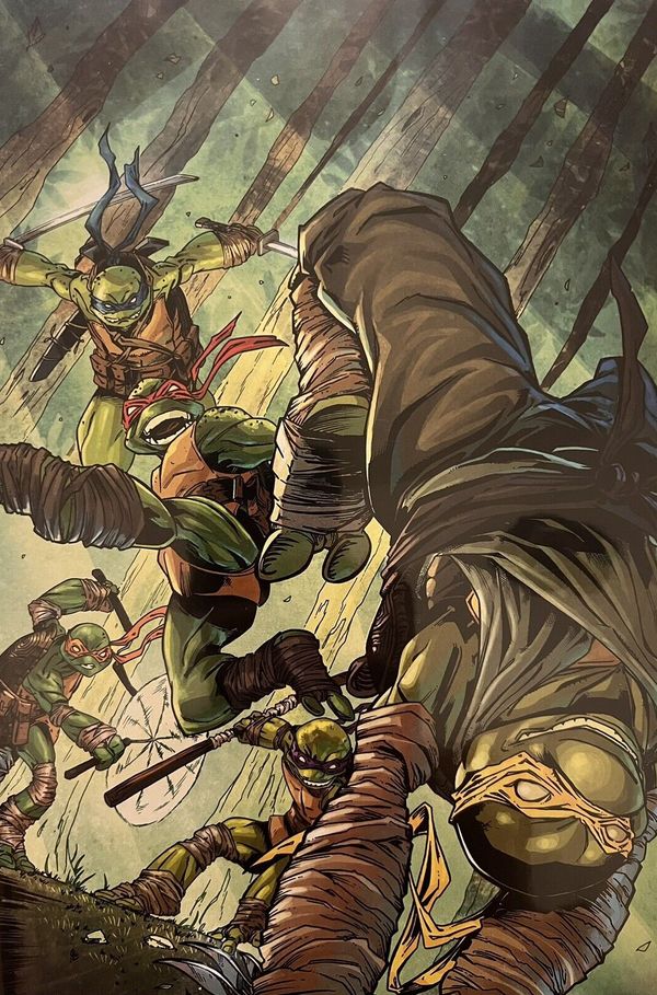 Teenage Mutant Ninja Turtles #132 (Whatnot Virgin Edition) Value ...