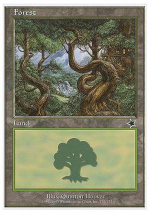 Forest (Starter) Value - GoCollect