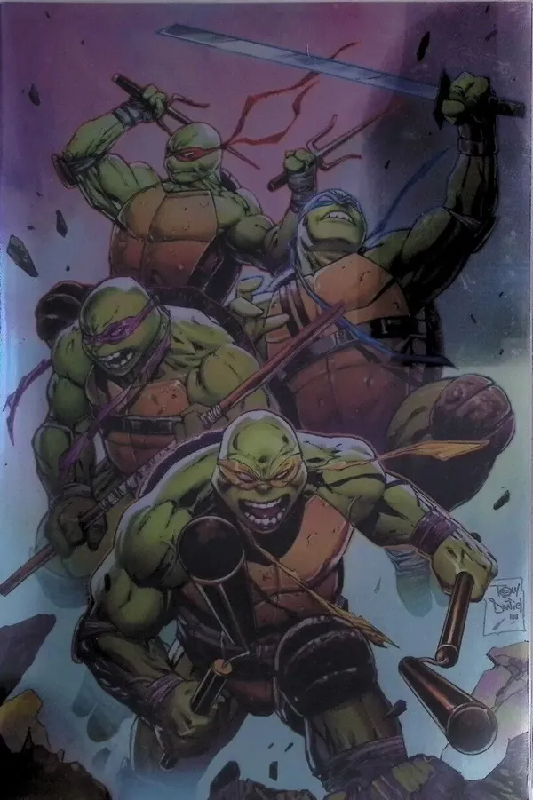 Teenage Mutant Ninja Turtles #1 (Daniel Mystery Box Foil Edition) Value ...