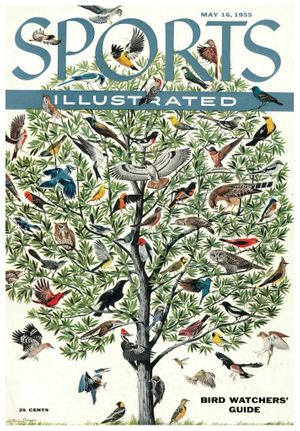 Sports Illustrated #v2 #20 Value - GoCollect