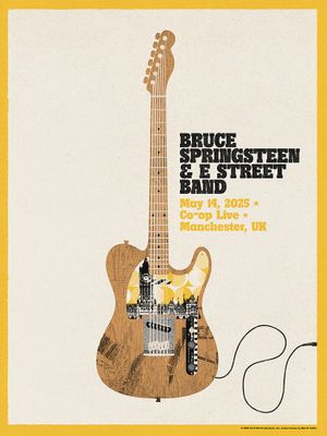 Bruce Springsteen Co-op Live Manchester 2025 Value - GoCollect