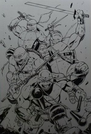 Teenage Mutant Ninja Turtles #1 (Daniel Mystery Box Sketch Edition ...