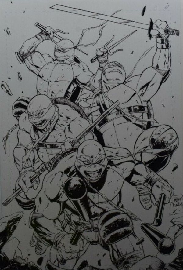 Teenage Mutant Ninja Turtles #1 (Daniel Mystery Box Sketch Edition ...