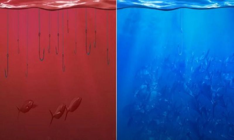 GoCollect Blog: Blue Ocean Books